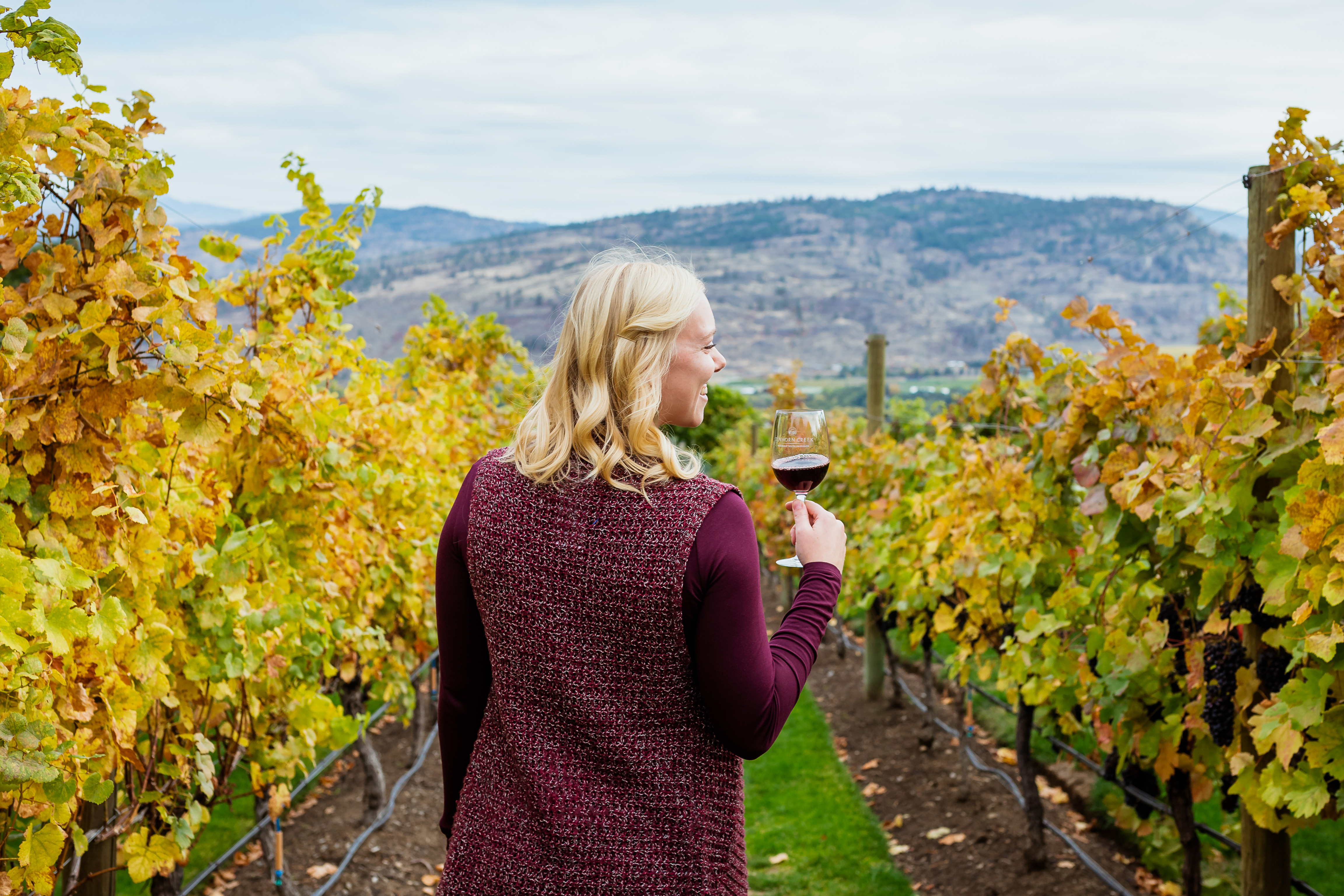 Top Fall Wine Festival Experiences | South Okanagan Events