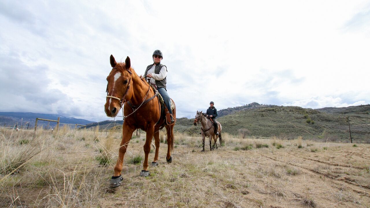 Sun Hills Riding Centre - Destination Osoyoos
