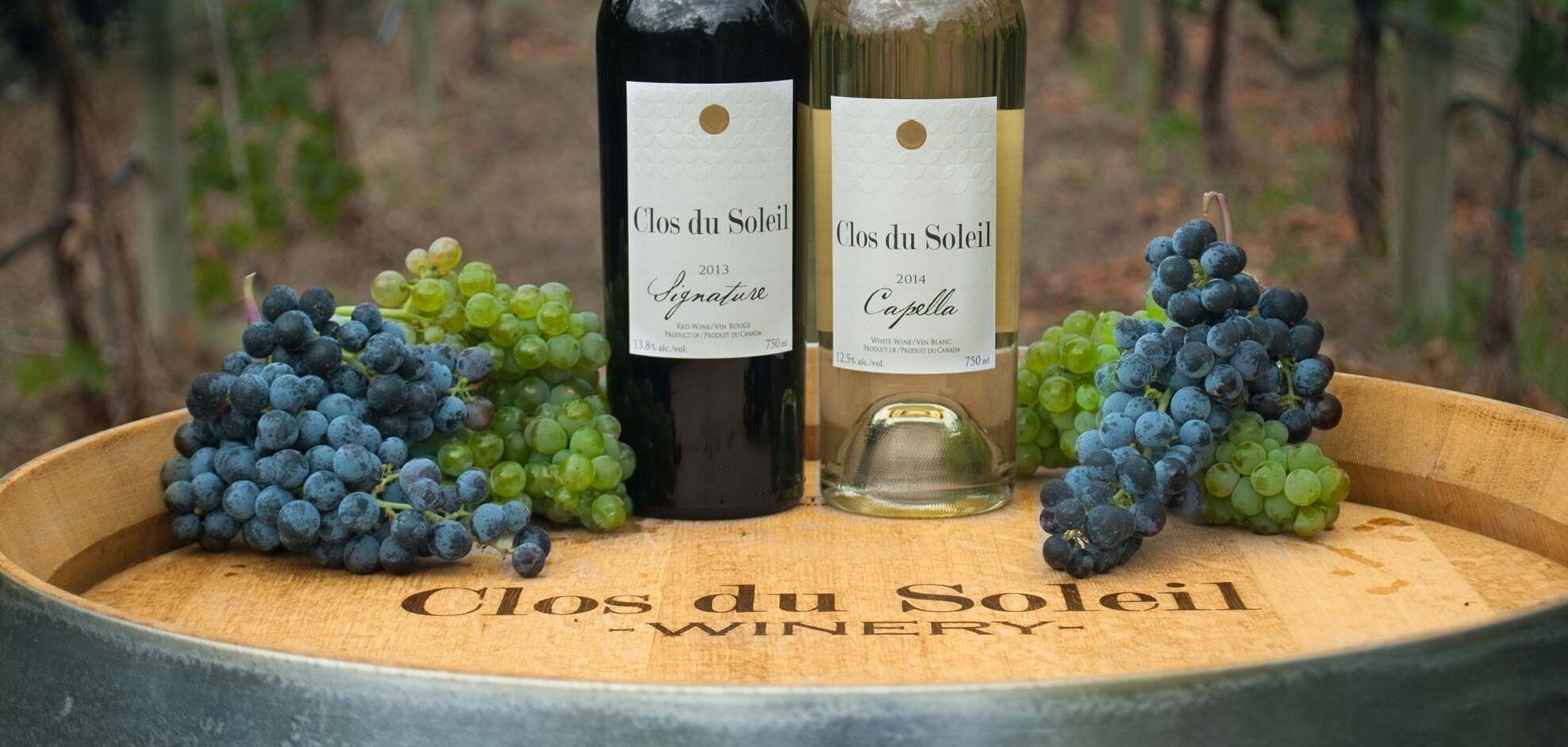 Clos du Soleil Winery - Destination Osoyoos