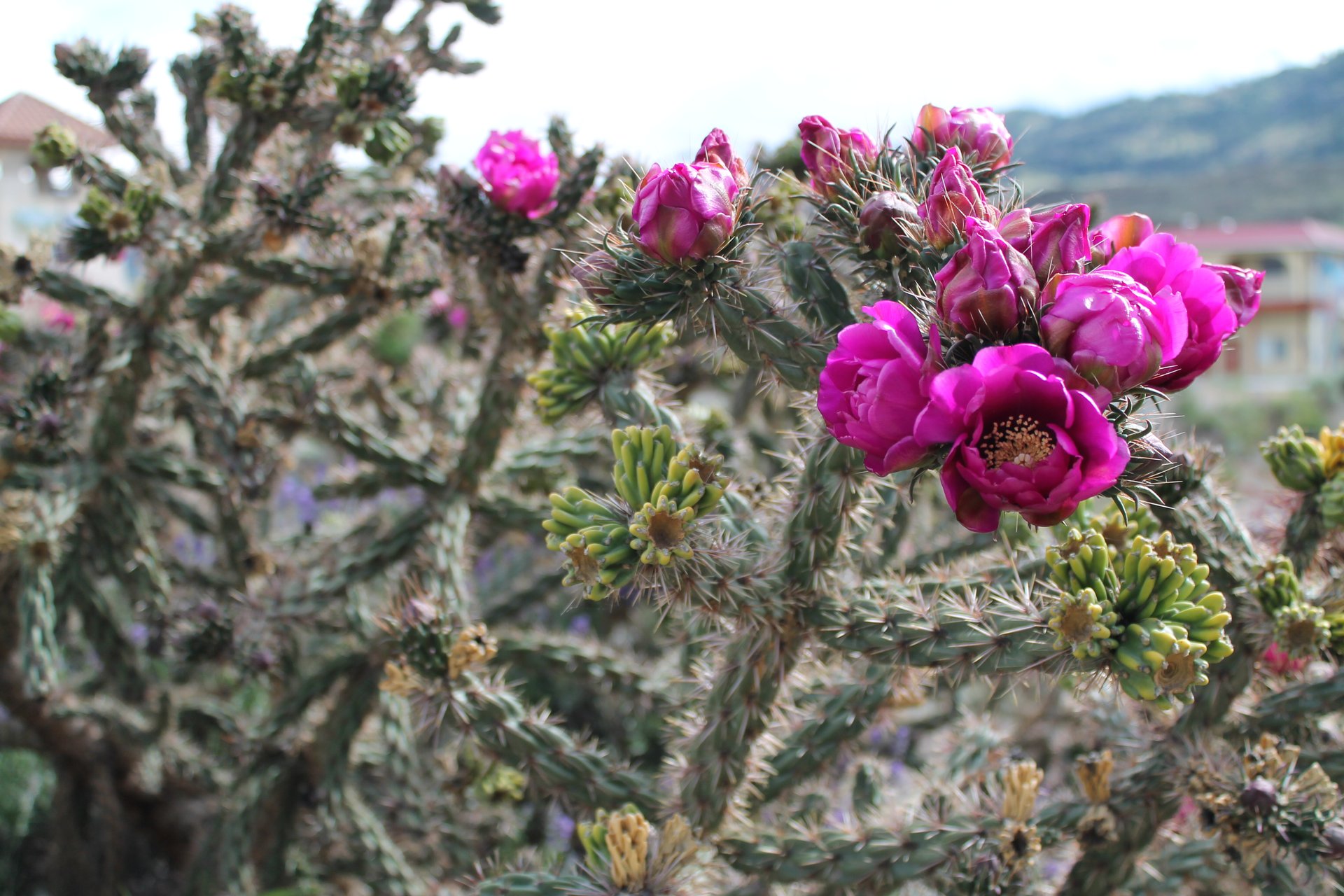 Desert Trail Safety Tips | Destination Osoyoos