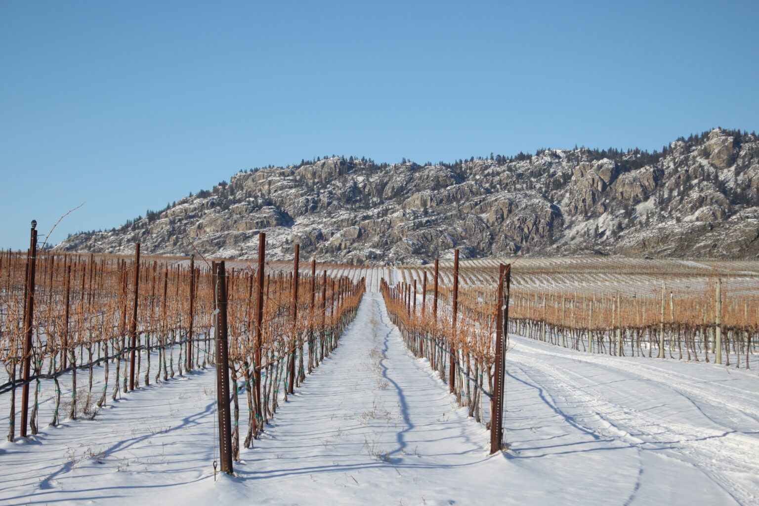 One thing to look forward to each month of 2023 in Osoyoos, B.C.