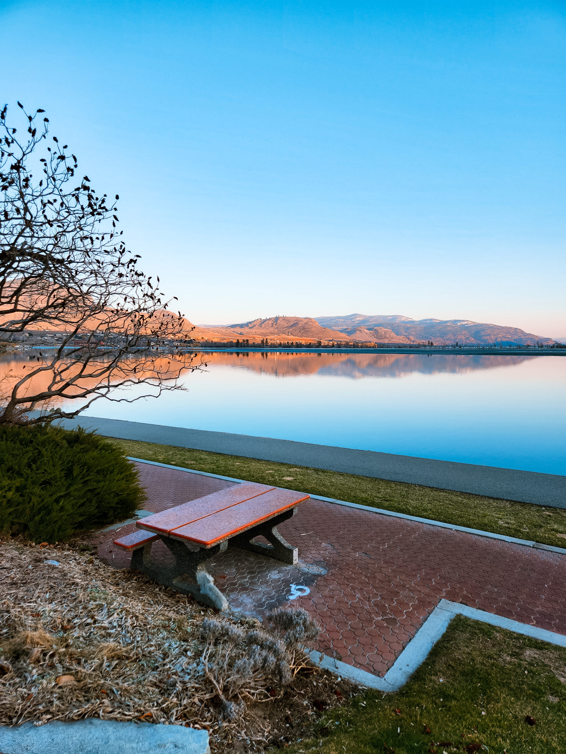 Photo Roundup: 17 Beautiful Captures of Spring Arriving in Osoyoos