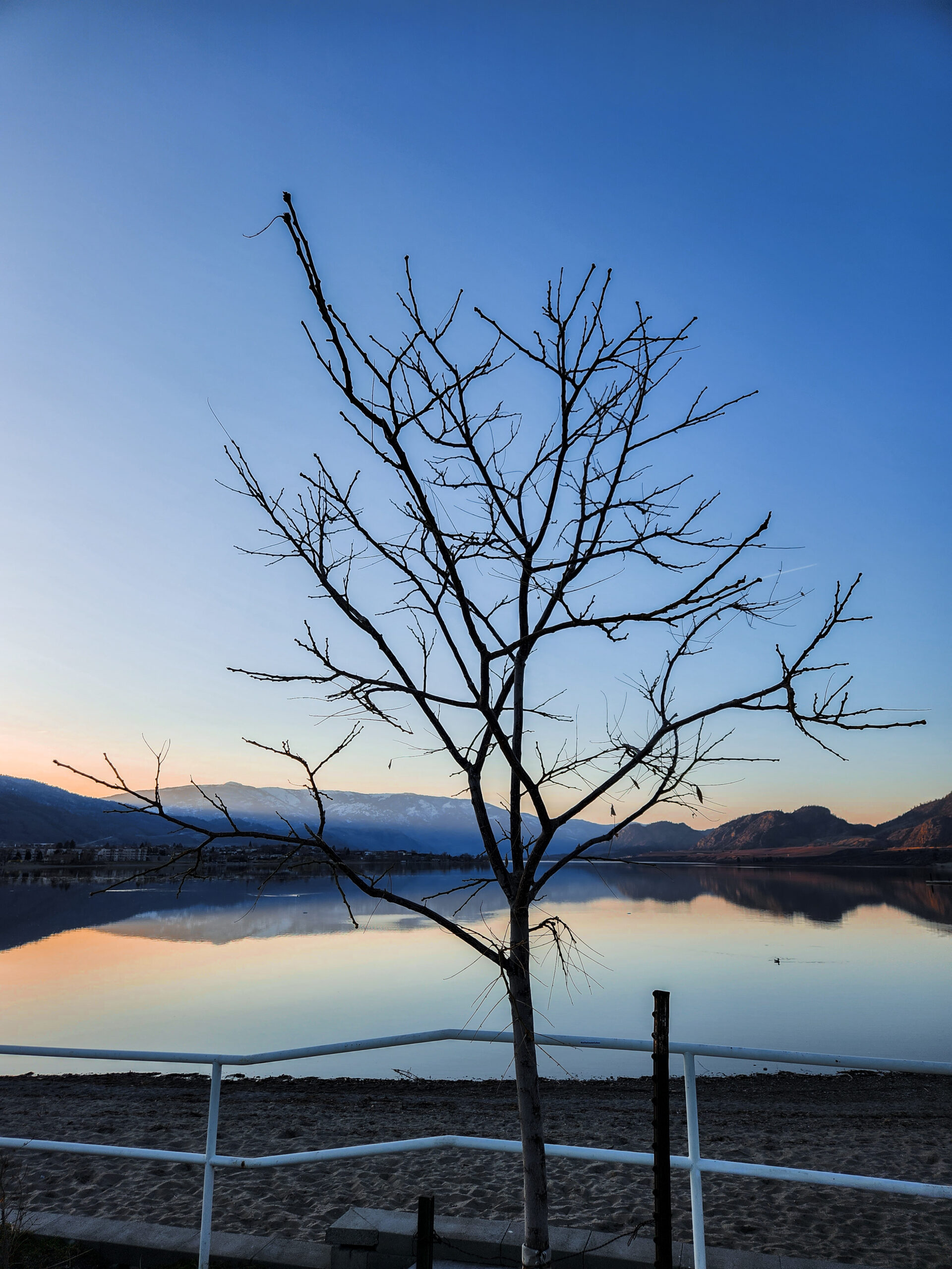Photo Roundup: 17 Beautiful Captures of Spring Arriving in Osoyoos