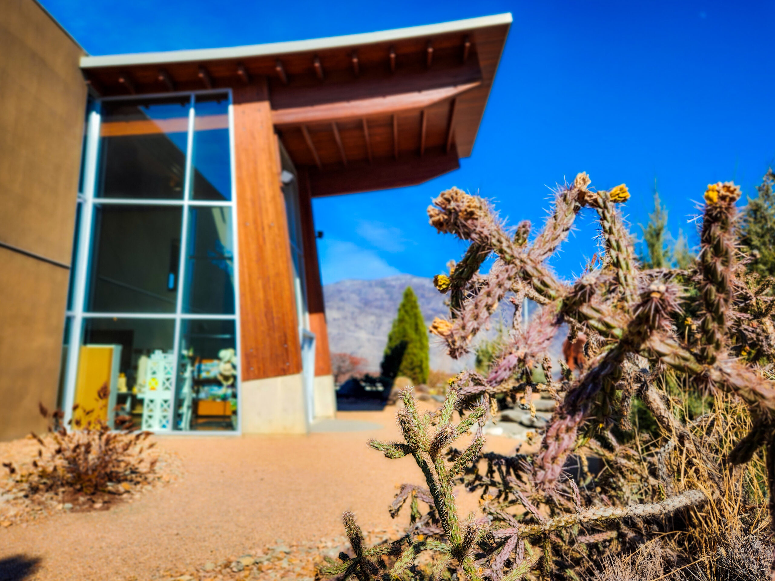 About Destination Osoyoos | DMO for Osoyoos