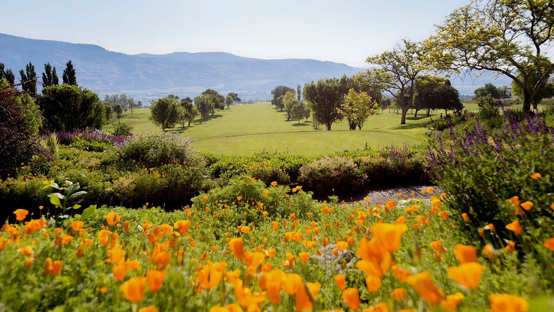 Six Reasons You Should Travel to Osoyoos This Spring