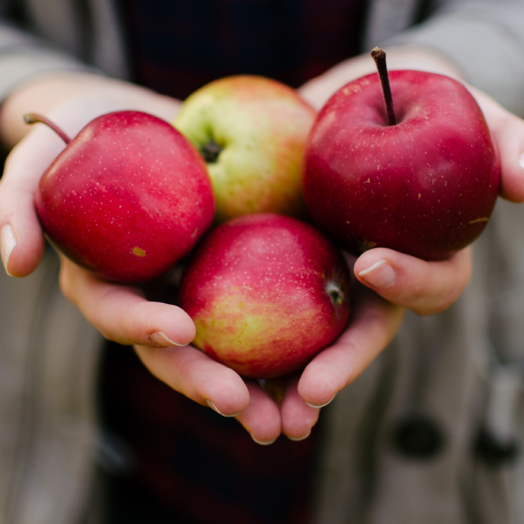 Explore the Osoyoos-Oliver Fruit Stand Trail