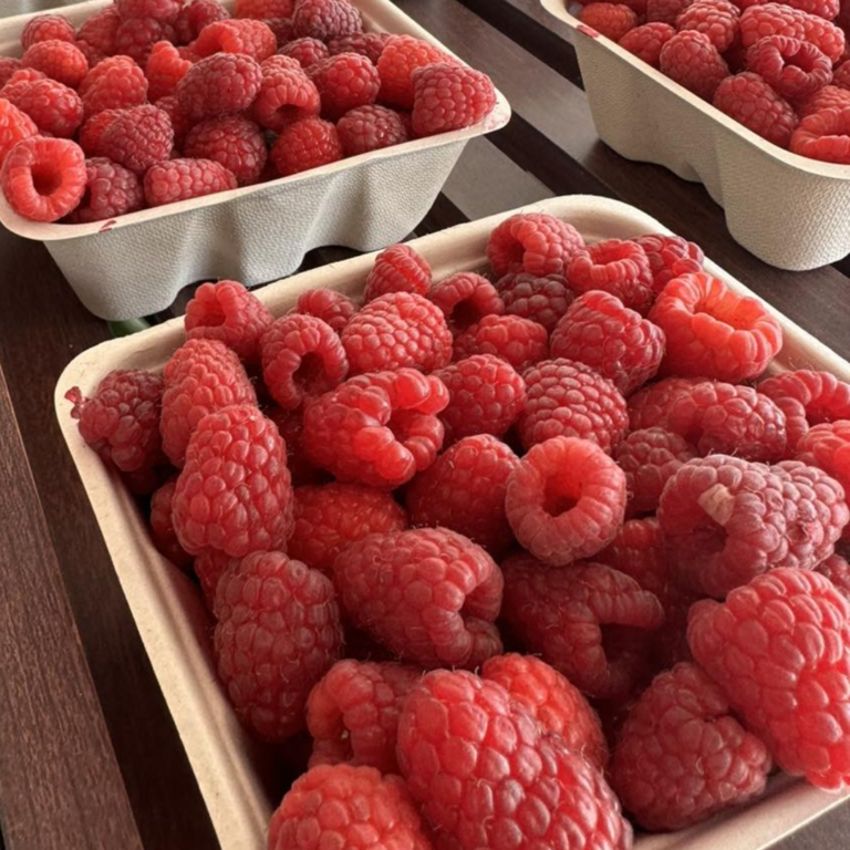 Explore the Osoyoos-Oliver Fruit Stand Trail