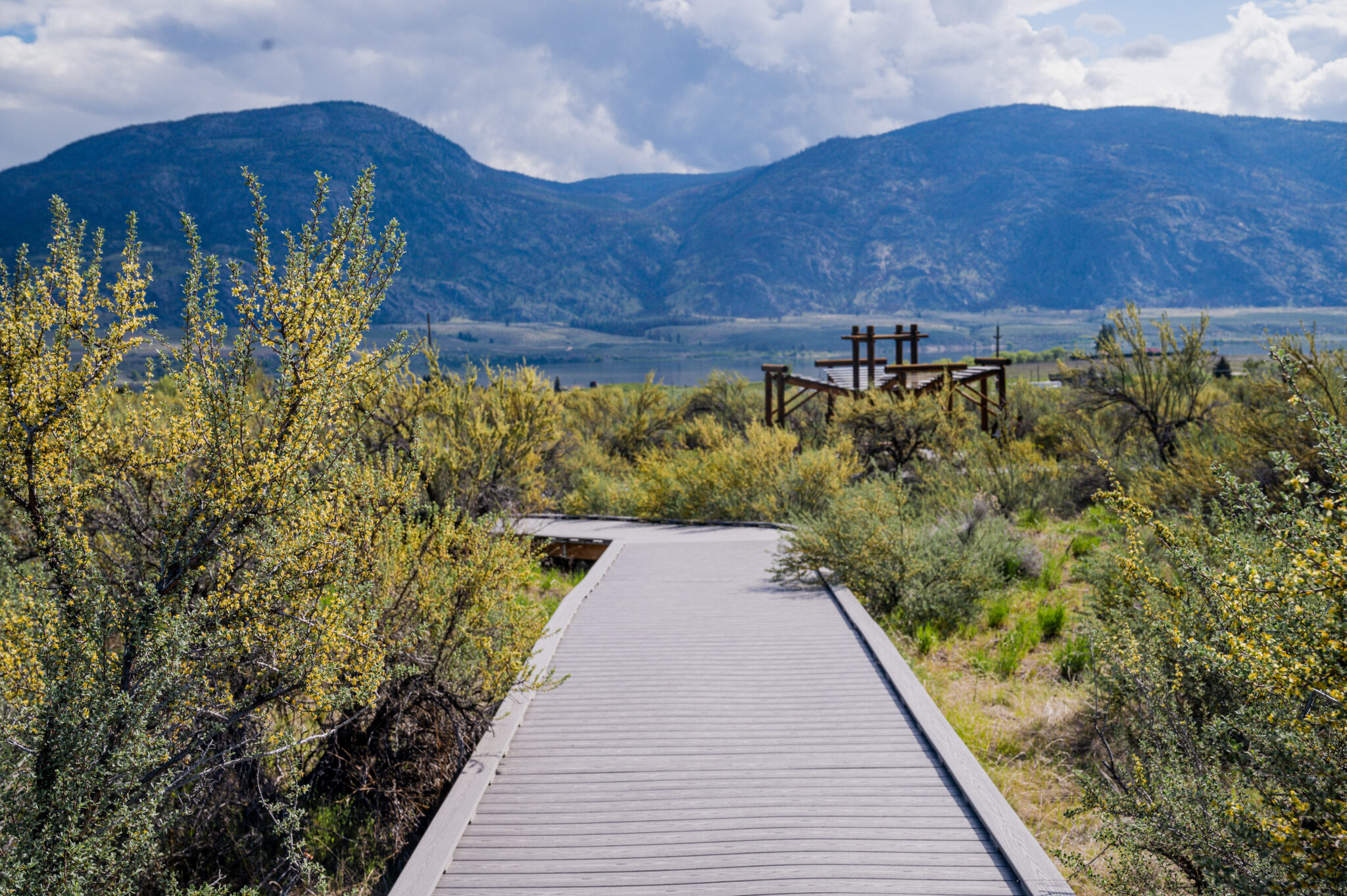 About Osoyoos - Destination Osoyoos